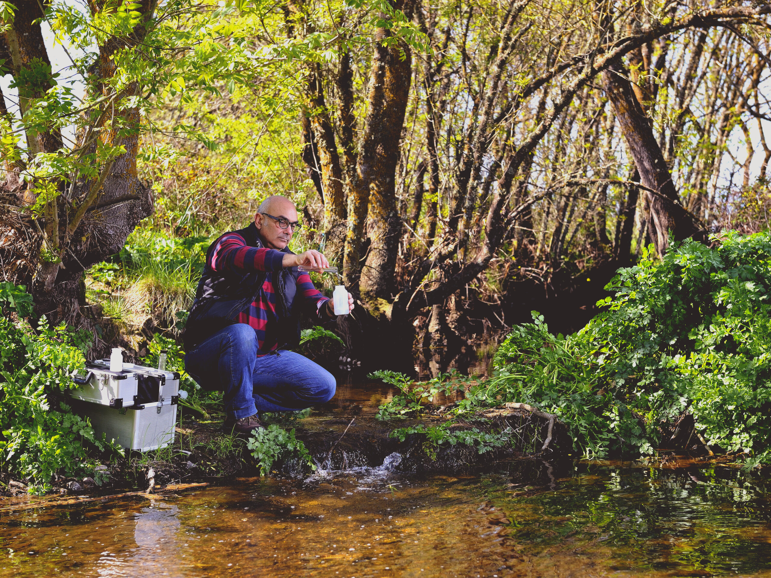 Sustainability Skills for Mining Professionals • Edumine