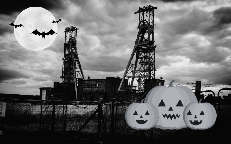 The Phoenix Gold Mine: A REAL - LIFE GHOST STORY • Edumine
