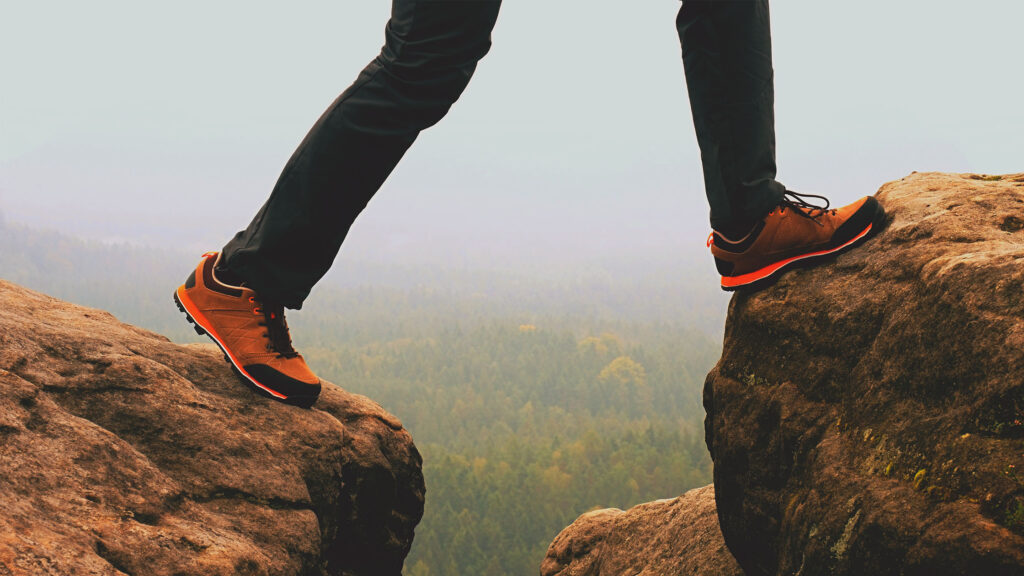 Discover Your Learning Path • Edumine