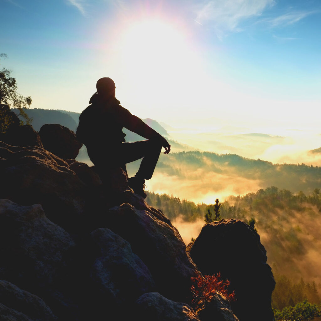 Transform Your Workforce • Edumine for Organizations